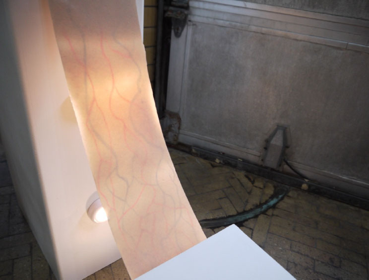 Rowan Walker | Edinburgh College of Art Graduate Show 2023